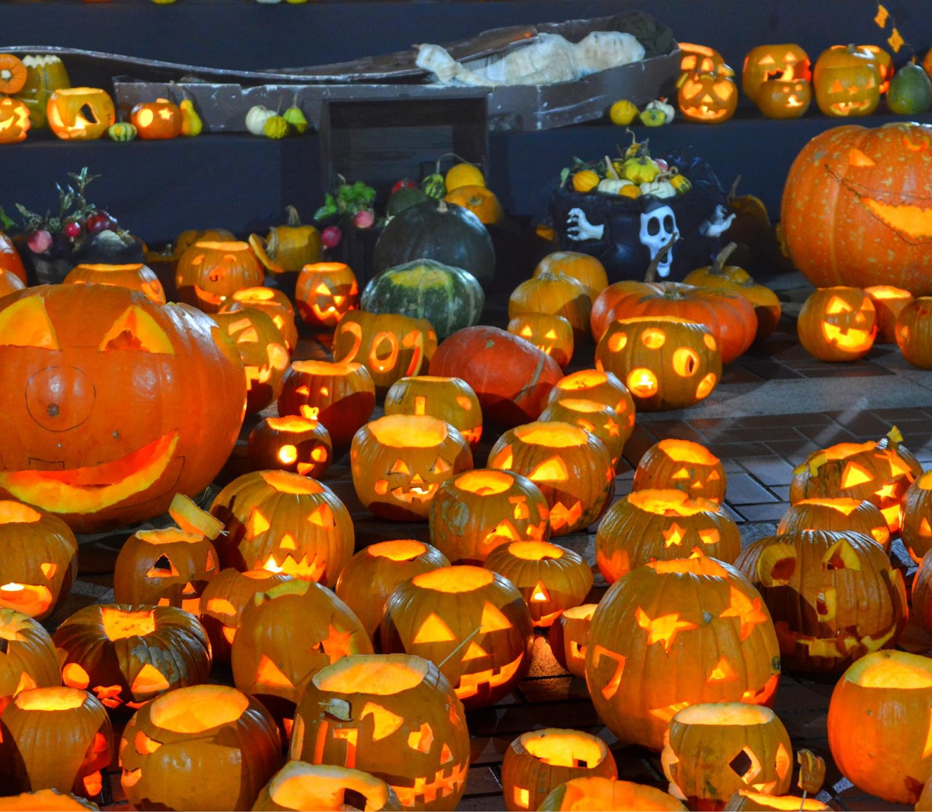 Home - The Great Pumpkin Trail